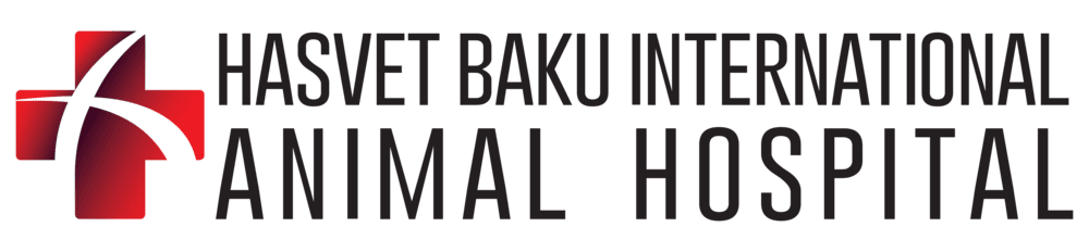 Hasvet BAKU